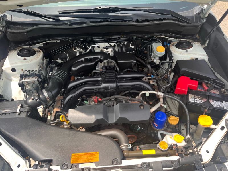 Forester - Advanced Trailers